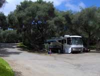 RV Park - Moose 1874